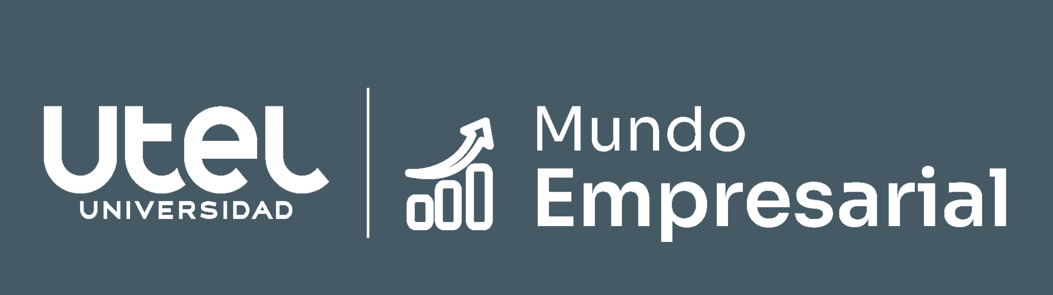 Qué es Management: Guía completa para entender la gestión